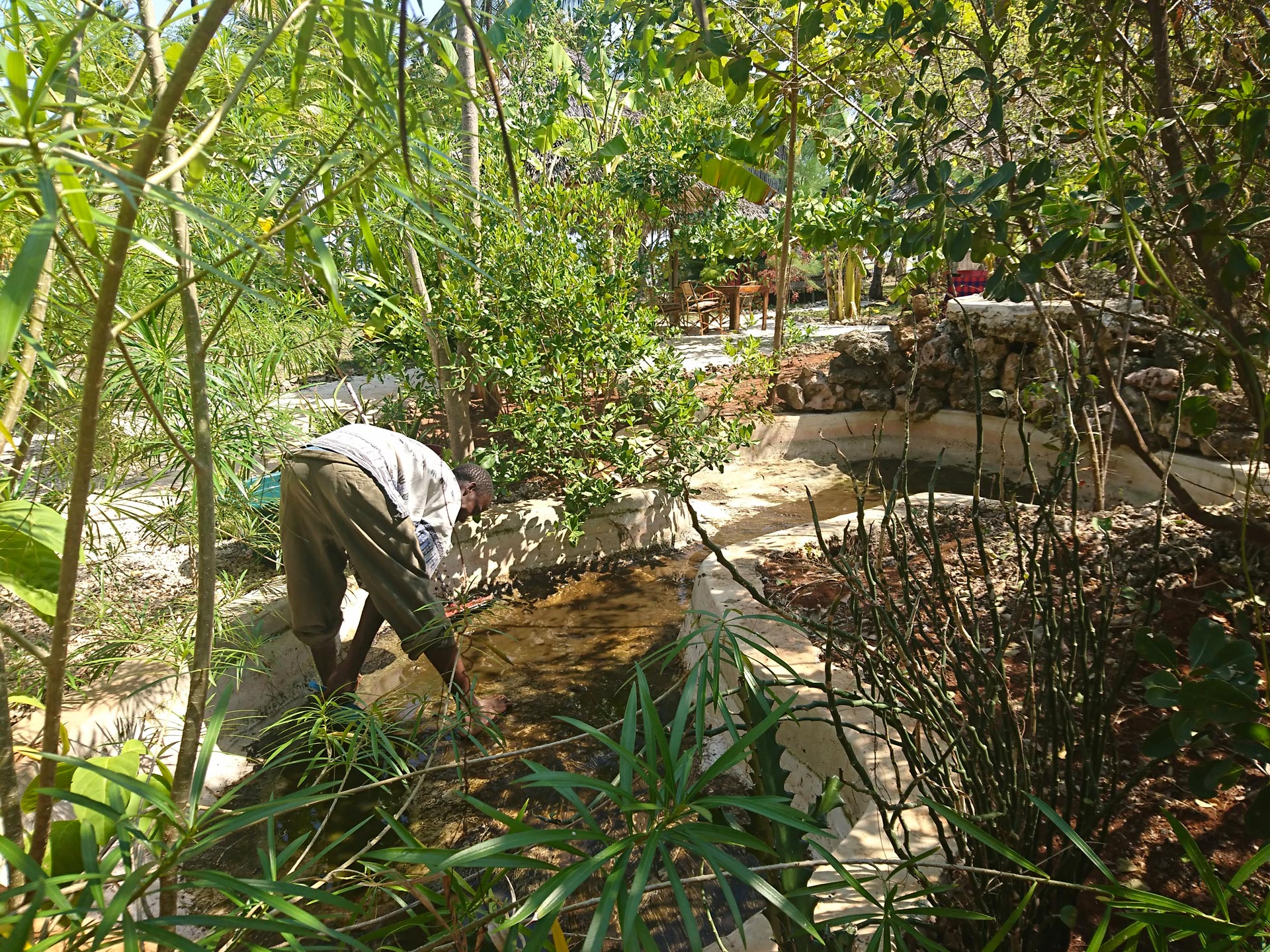Journée nettoyage et remplissage du bassin - Coco Reef Eco Lodge ...